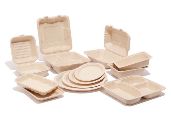 Ecocycle – Biodegradable disposable food packaging
